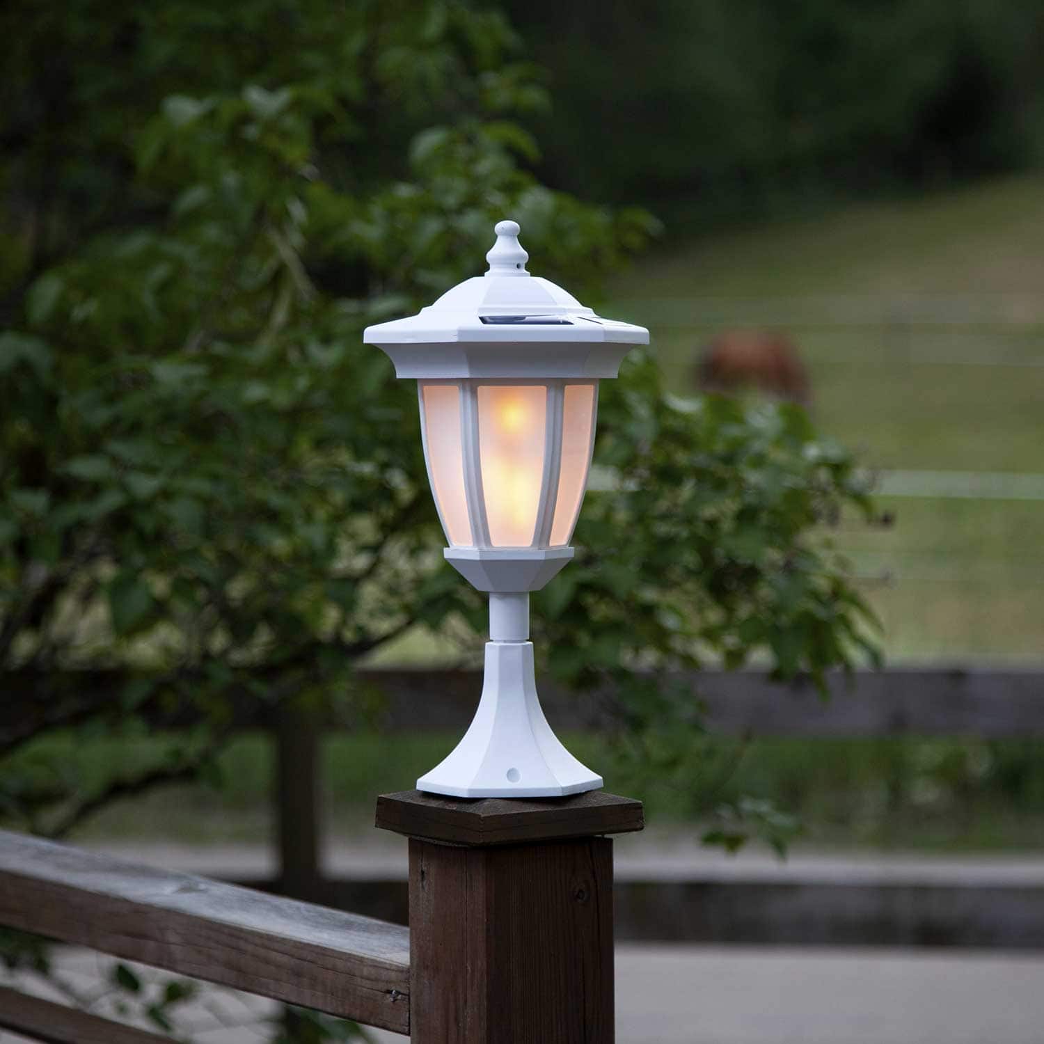 Solcell ljusslinga vit risboll 10 LED kallvit - Prylgrossen